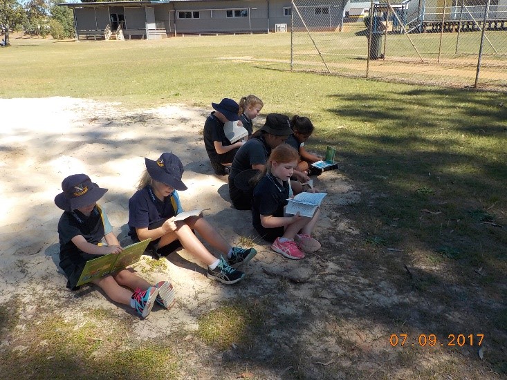 Bray Park State School