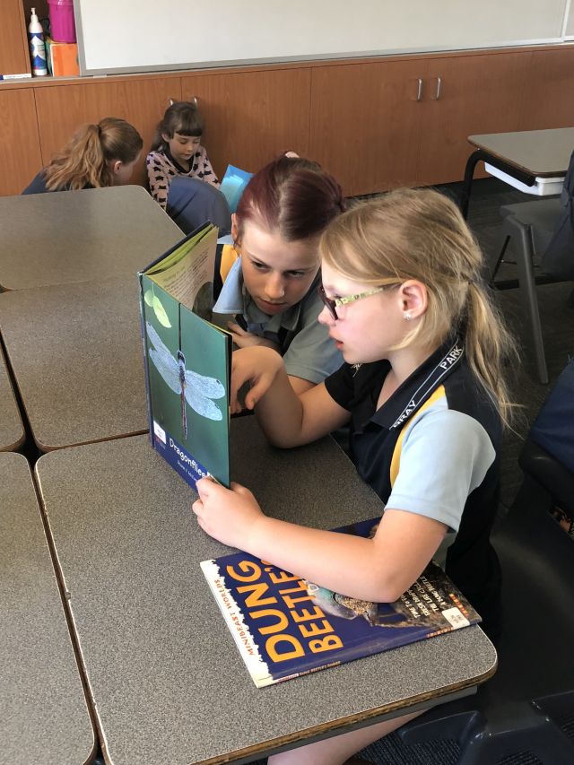 Bray Park State School