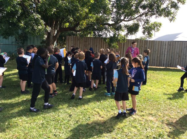 Bray Park State School